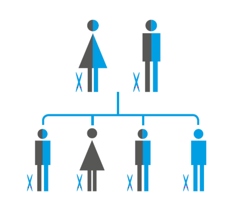 CarrierTest | GENNET